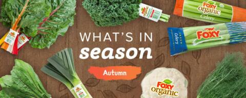 What's in Season: Fall Edition - Foxy Fresh Produce