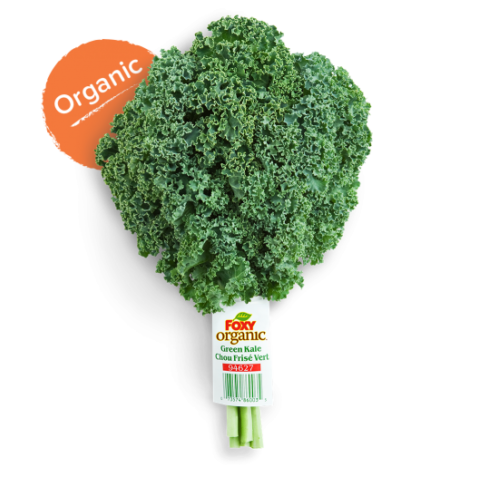 Kale 101 - Foxy Fresh Produce