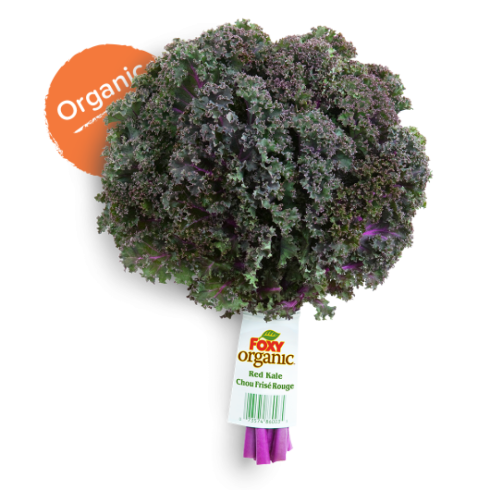 Kale 101 - Foxy Fresh Produce