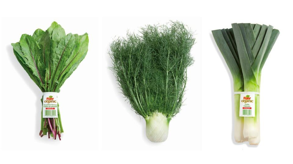 News - Foxy Fresh Produce