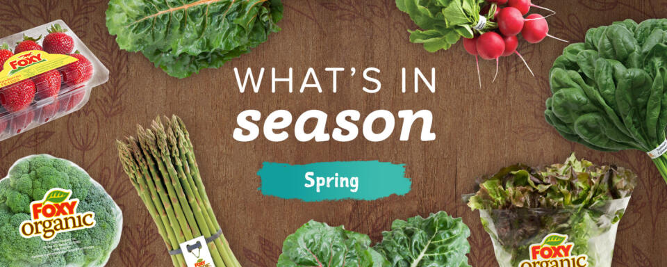 What's in Season: Spring Edition - Foxy Fresh Produce