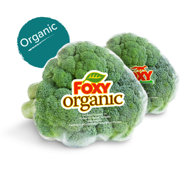 Cauliflower - Foxy Fresh Produce