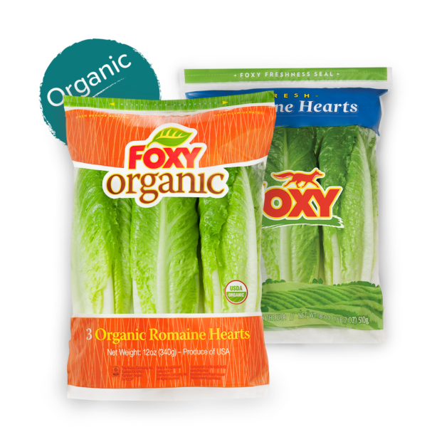 Romaine Leaf Lettuce - Foxy Fresh Produce